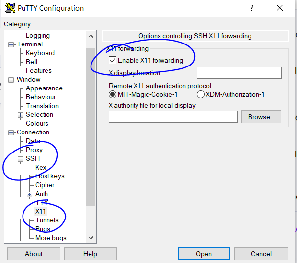 Putty - Can't Open Display Putty - Can't Open Display